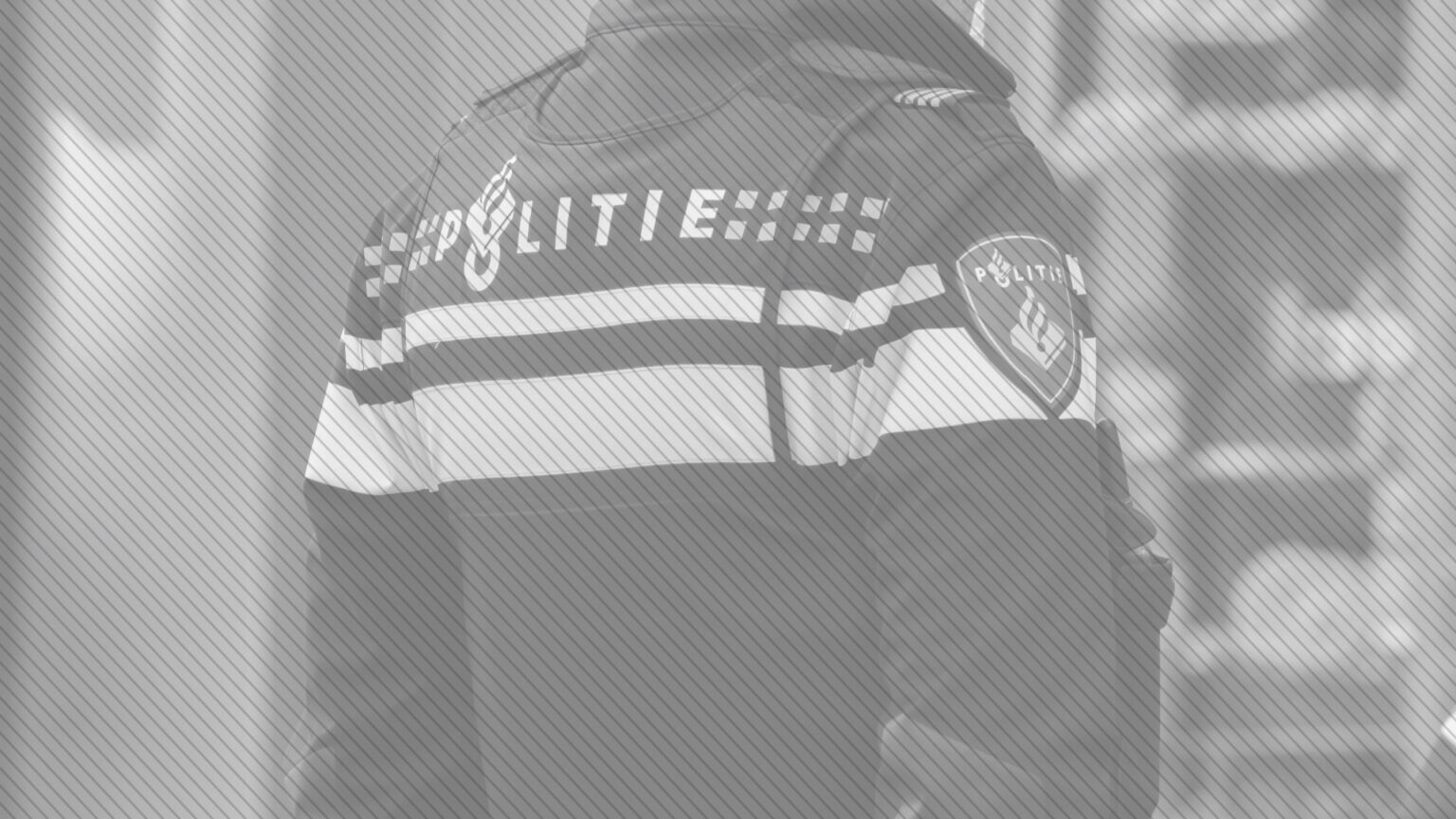 FBI seizes Cracked.io and Nulled.to Hacking Forums › Searchlight Cyber